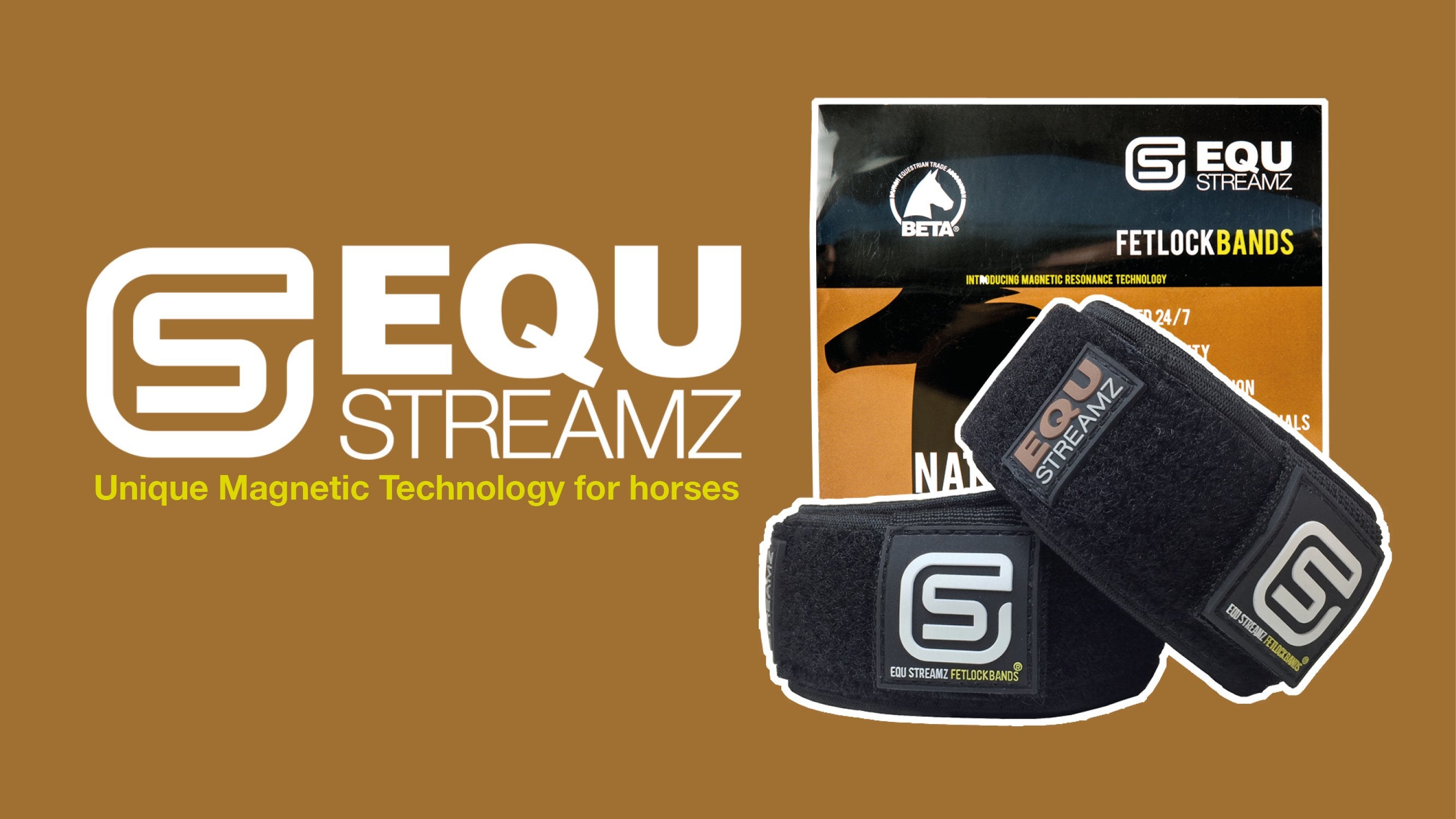 Life Is Currently Very Different | How can EQU StreamZ horse bands hel – StreamZ (Australia)