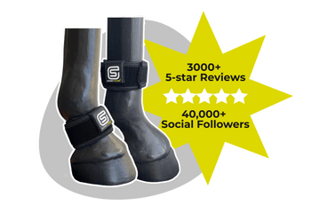 EQU StreamZ Magnetic Horse Bands | Joint Care & Wellbeing – StreamZ (Australia)