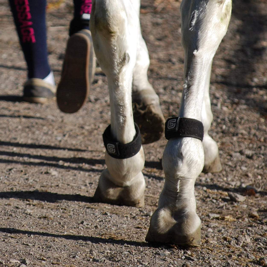 EQU StreamZ Magnetic Horse Bands | Joint Care & Wellbeing – StreamZ (Australia)
